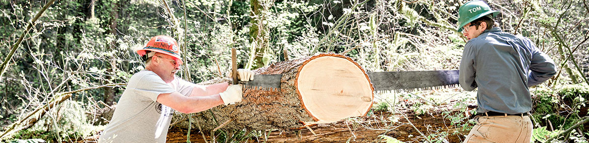 Southern California Saw Training and Certification Weekend - Pacific ...