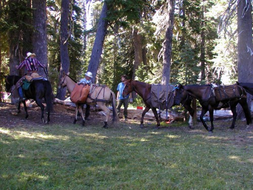 Building a bridge across the Bumping River - Pacific Crest Trail ...