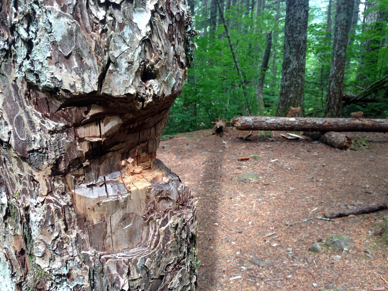 Canadian Wilderness Hatchet Map