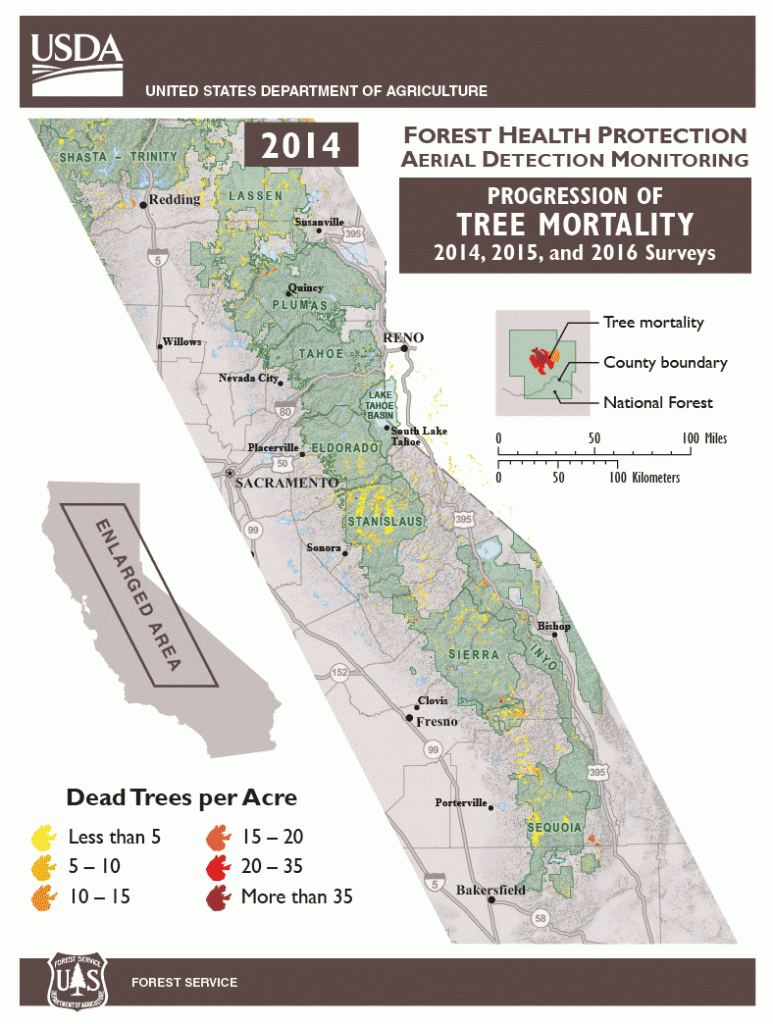 Our dead and dying forests - Pacific Crest Trail Association
