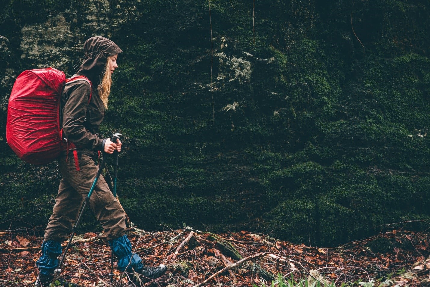 Rainy day on the trail? Here’s what you should do - Pacific Crest Trail ...