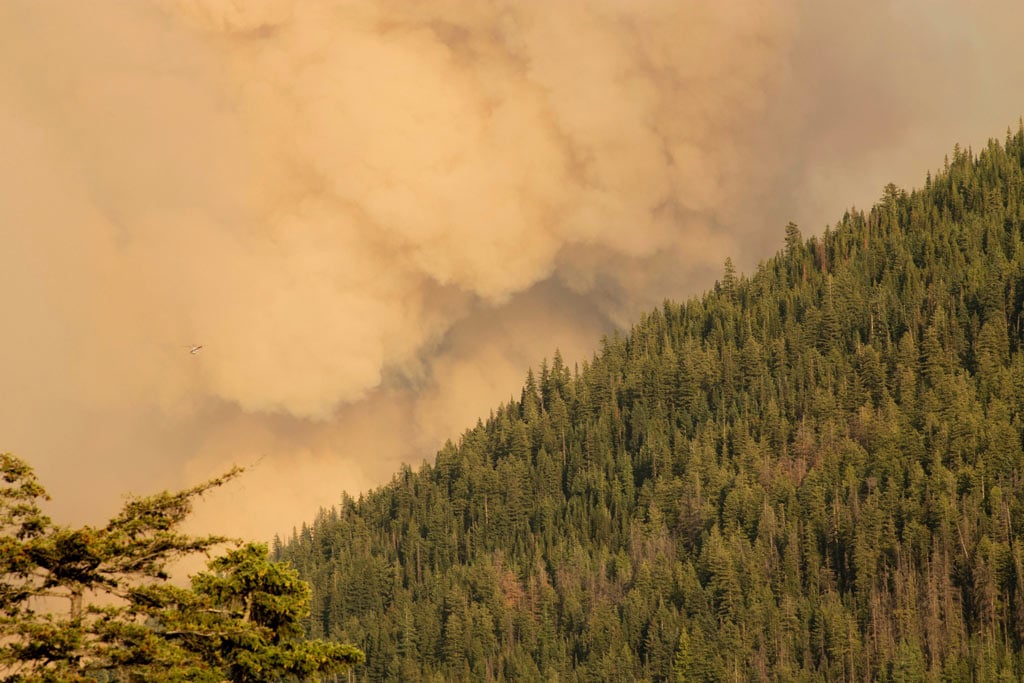 How to react to wildfires - Pacific Crest Trail Association