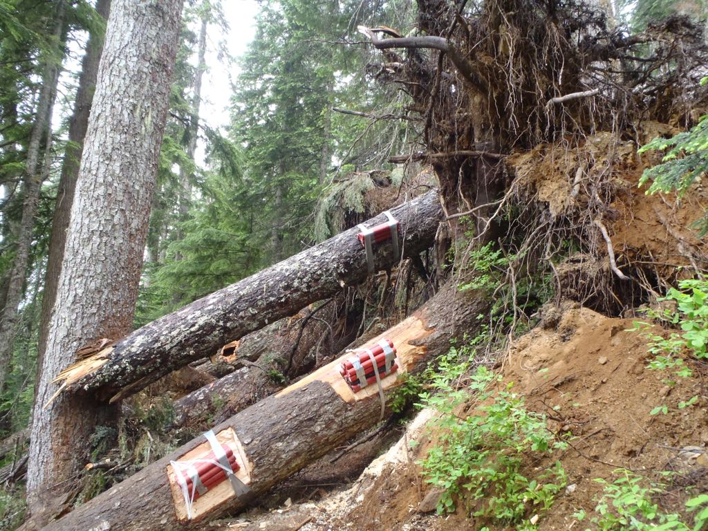 Blasting – a traditional tool on the PCT - Pacific Crest Trail Association