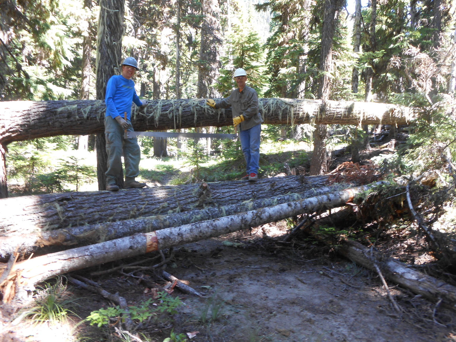 Felled like a tree at age six, Steve Ghan leads logouts in the North ...