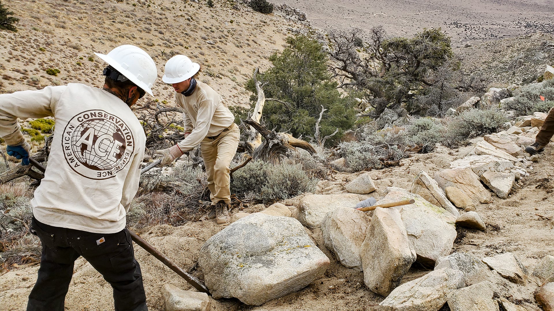 ACE's First PCT Project of the season is a success - Pacific Crest ...