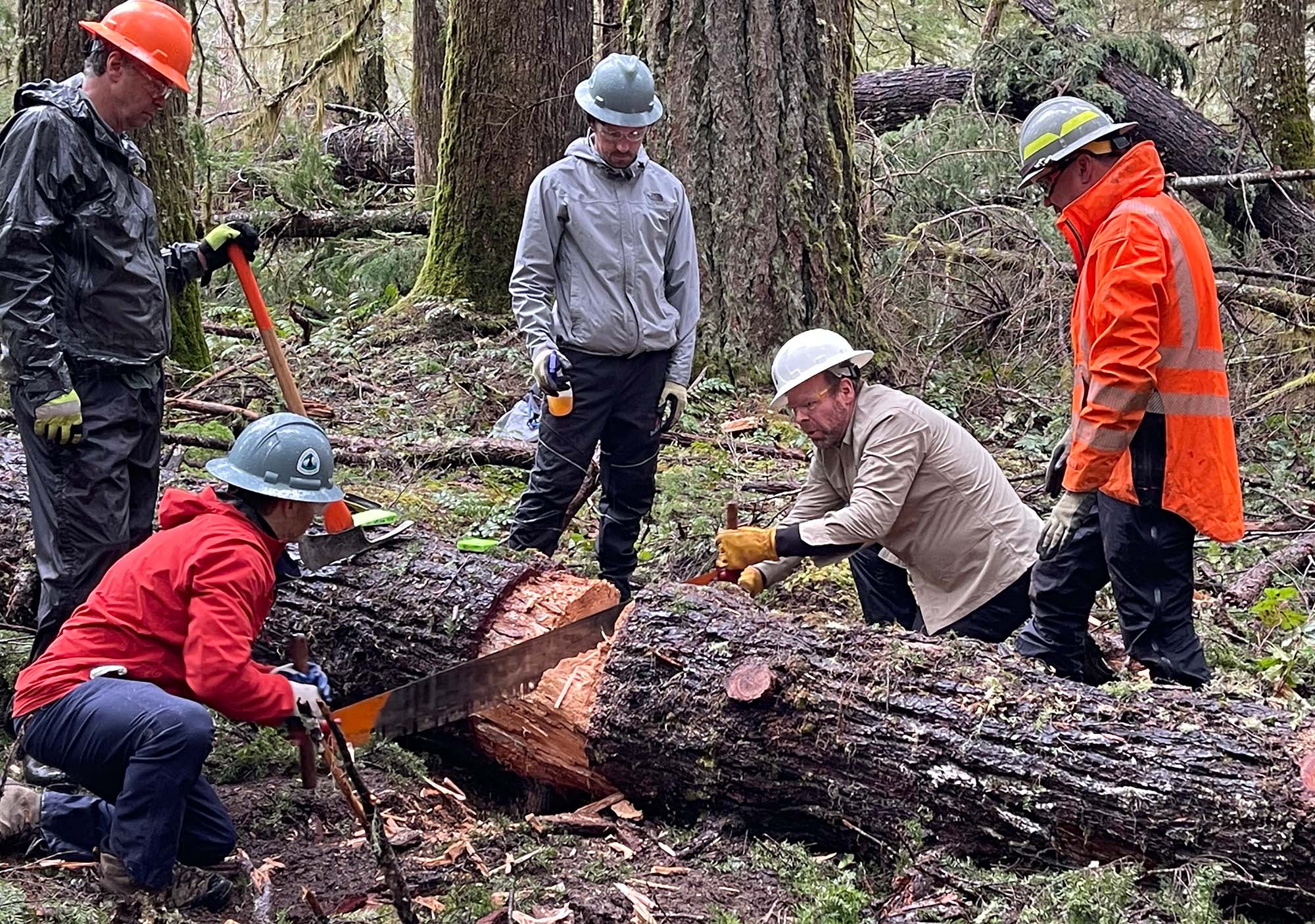 Trail Skills College is back! - Pacific Crest Trail Association