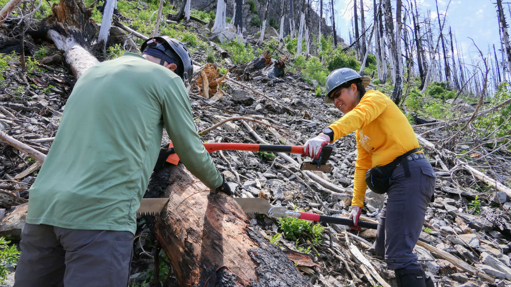 Oregon’s Lionshead Fire burn area remains closed while work is underway ...