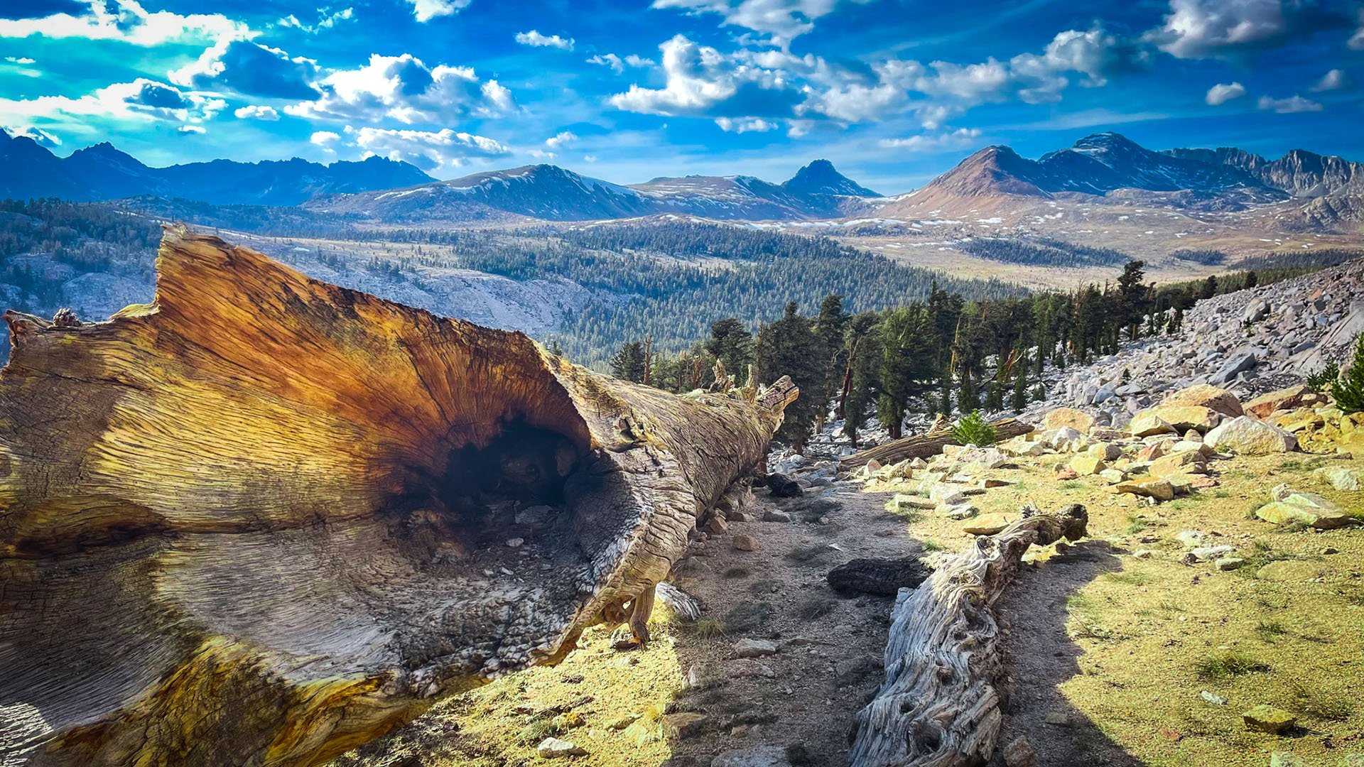 On the PCT's 54th year as a National Scenic Trail - Pacific Crest Trail ...