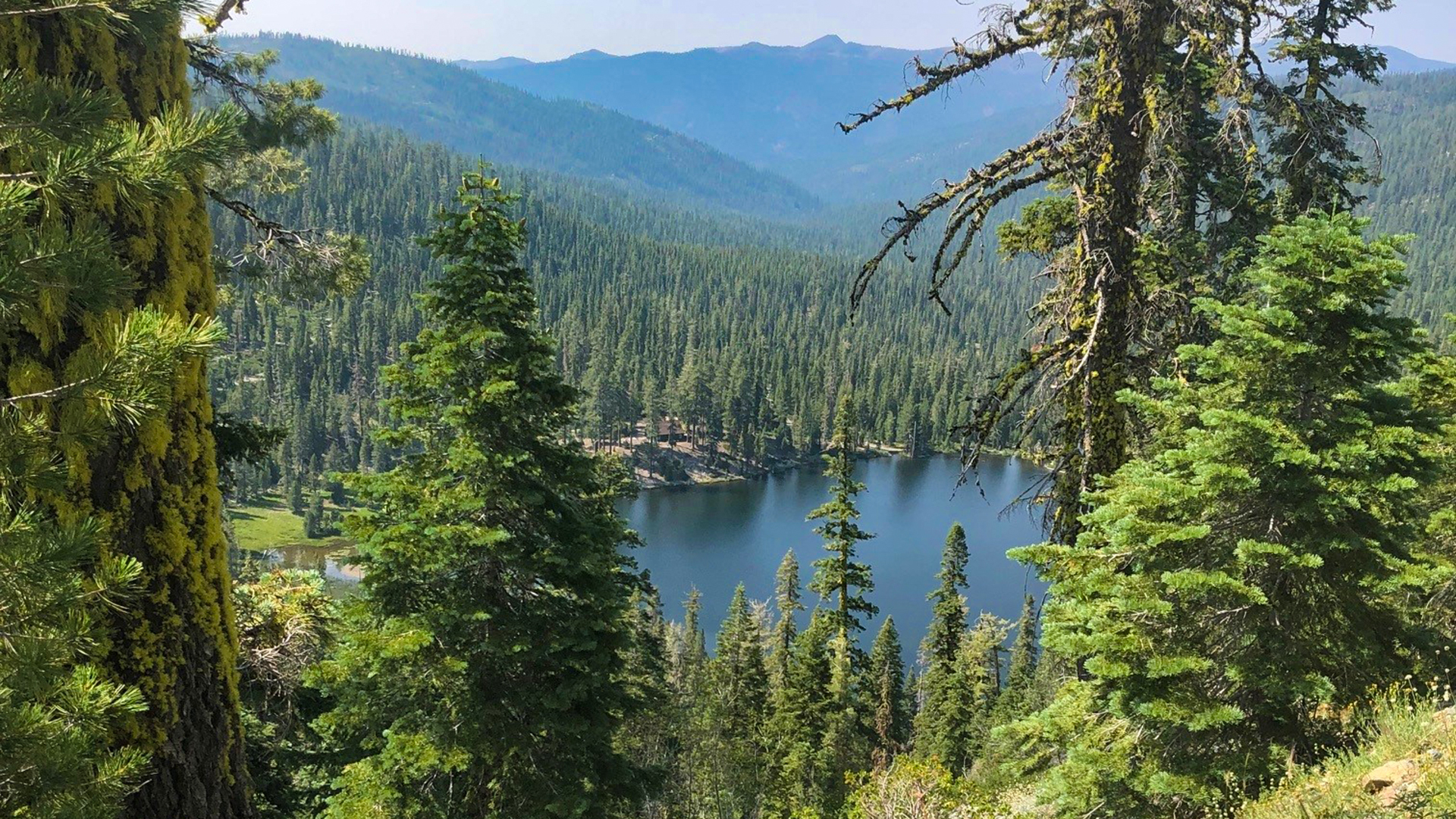 Conservation of 320 Acres at Picayune Lake Takes the Cake - Pacific ...