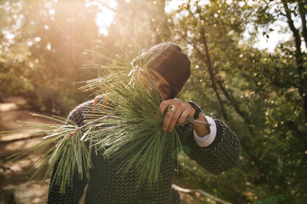 Juniper Ridge: A Journey from Wild Inspiration to Environmental ...