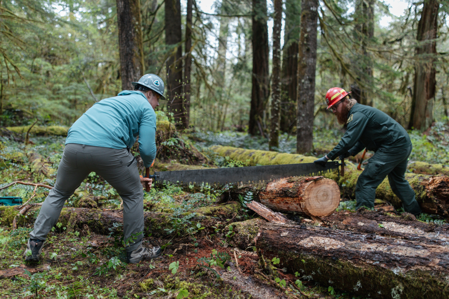 Central Cascades Saw Training and Certification - Pacific Crest Trail ...